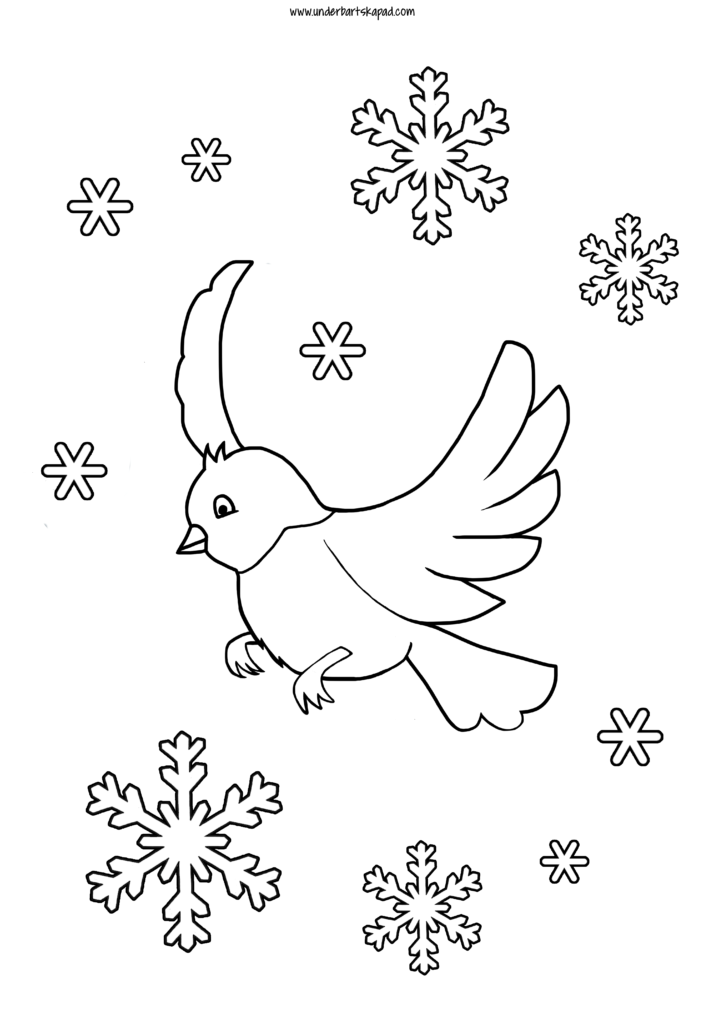 Winter Bird Coloring Pages - FREE Download - Underbart skapad