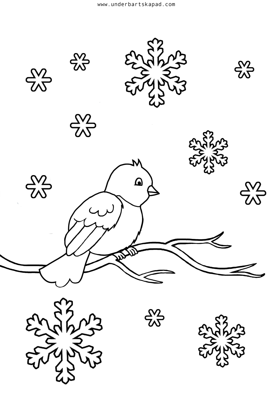 Winter Coloring Pages with Birds - FREE Printable - Underbart skapad
